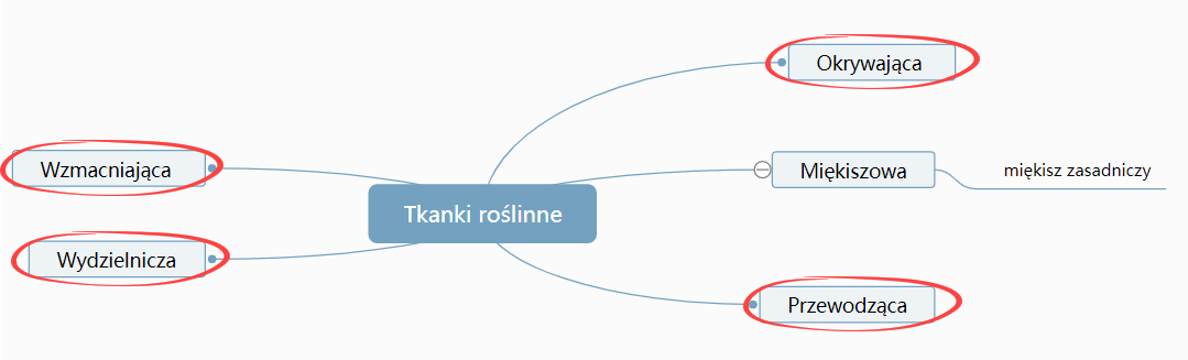 Mapy myśli, schematy – Akademia PIONIER Research & Classroom